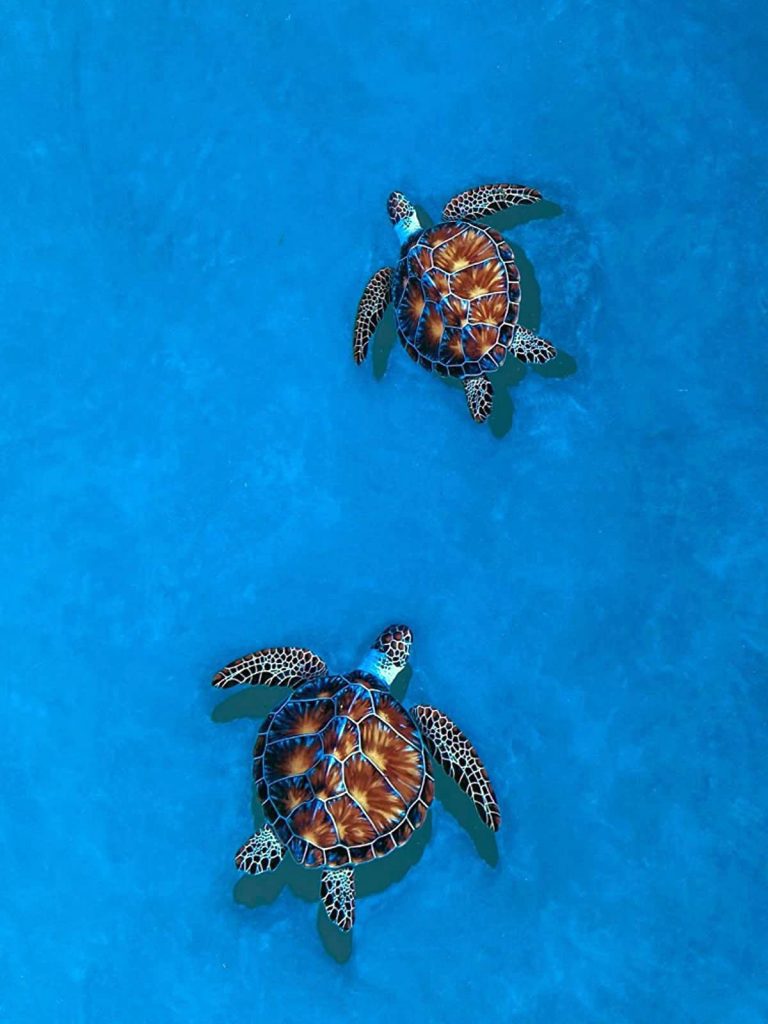 Sea Turtle Pool Mosaic // Made in USA · Easy to Install · See Options