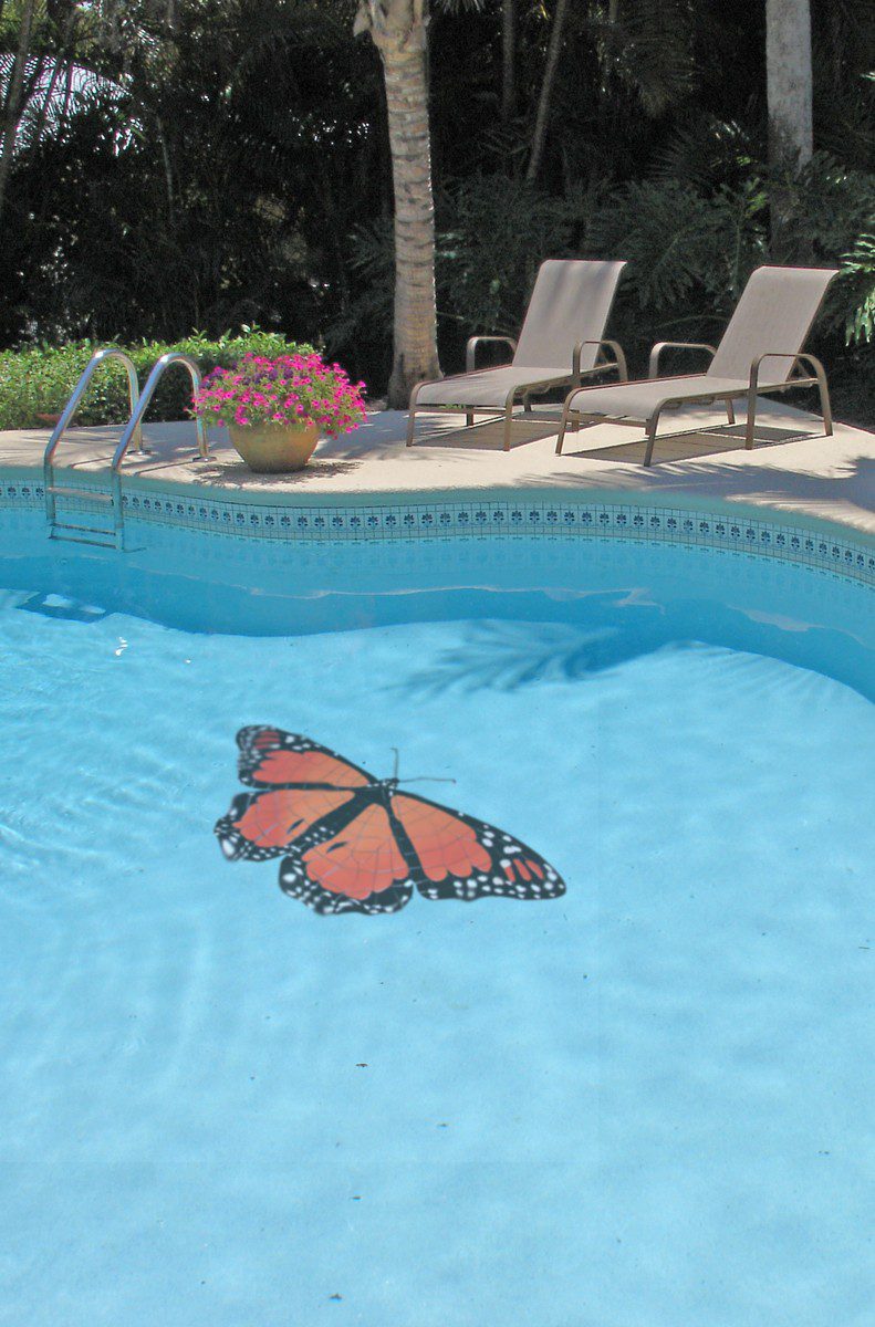Flutter and Float: Inspiring Butterfly Mosaics for Your Pool - Blue ...