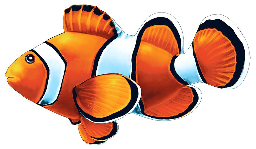 Splashing Around with Clownfish Mosaics: Ocean Fun for Your Pool - Blue ...
